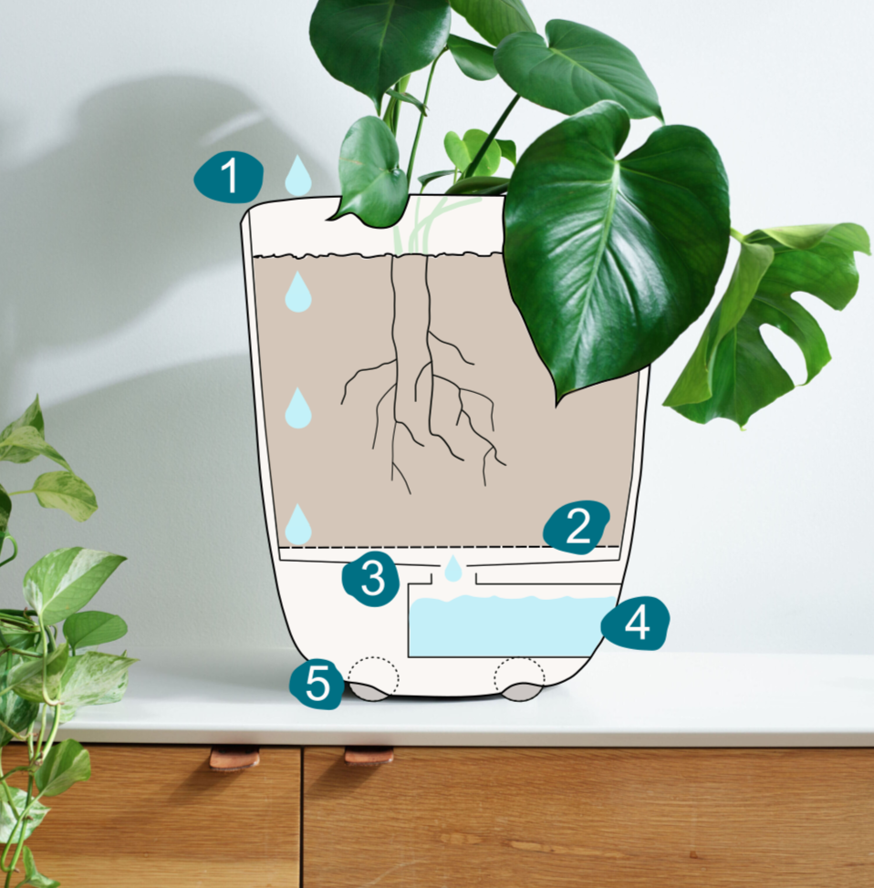 PerkyPod- Self Draining Plant Pot Innovation- Stop Killing Your Plants