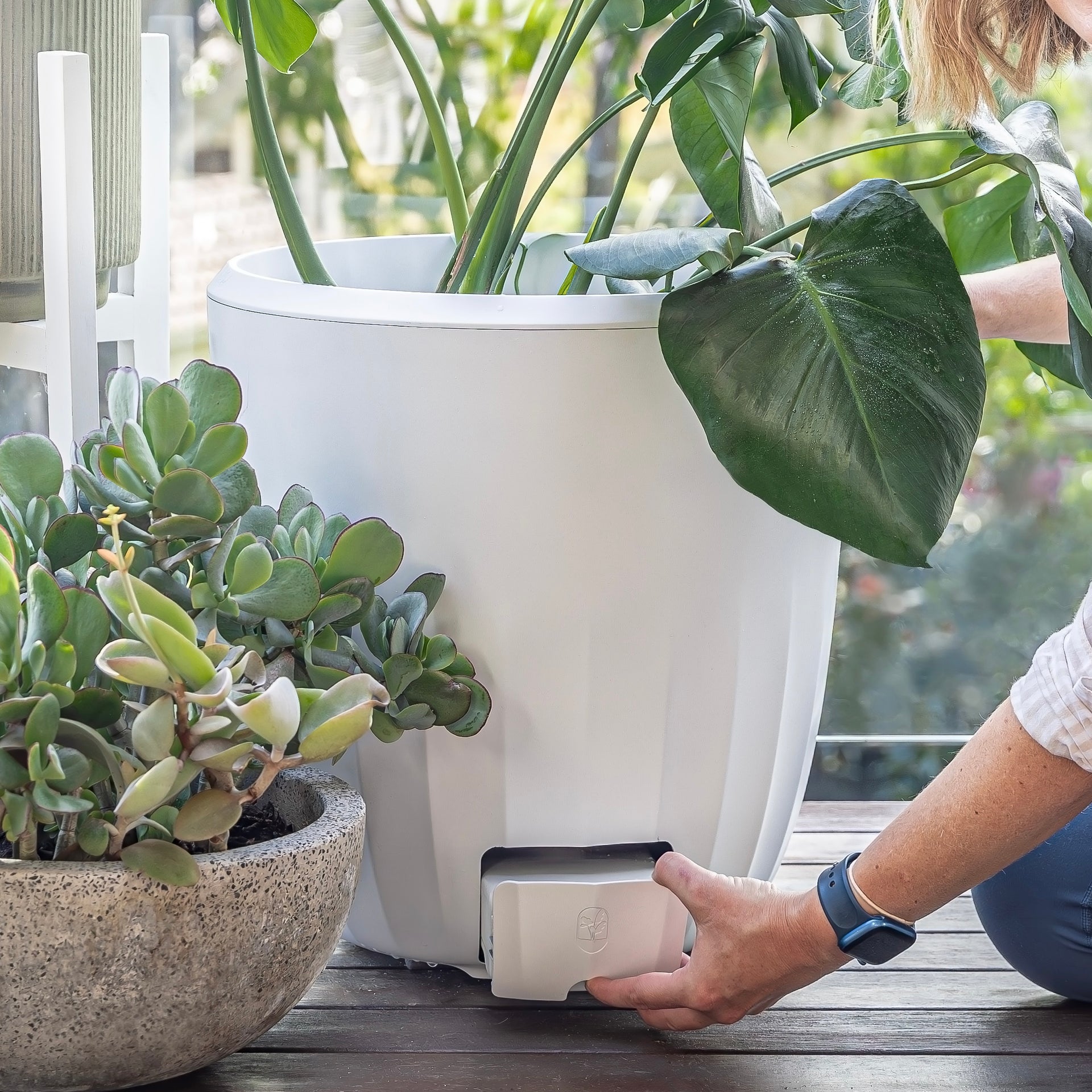 PerkyPod- Self Draining Plant Pot Innovation- Stop Killing Your Plants