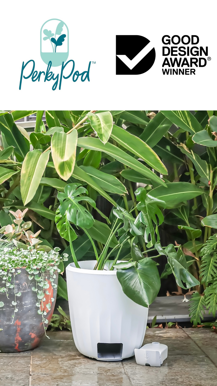 PerkyPod- Self Draining Plant Pot Innovation- Stop Killing Your Plants